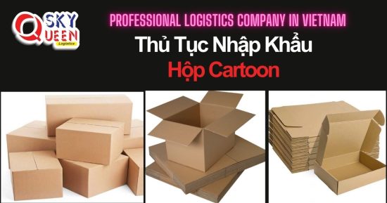 NHẬP KHẨU HỘP CARTON | Hs code 4819